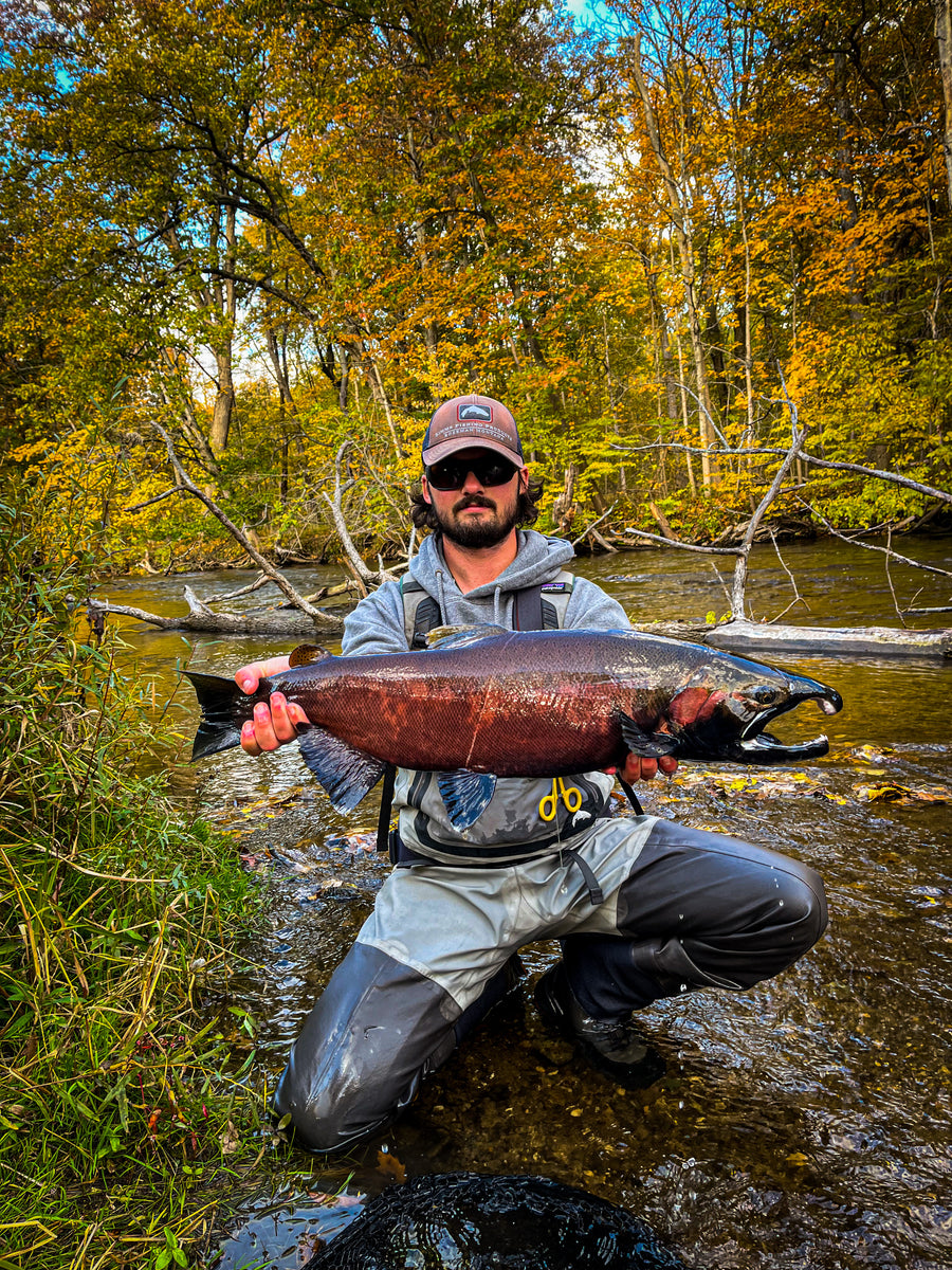 Michigan Fly Fishing Report | October 14th 2022 | Nomad Anglers