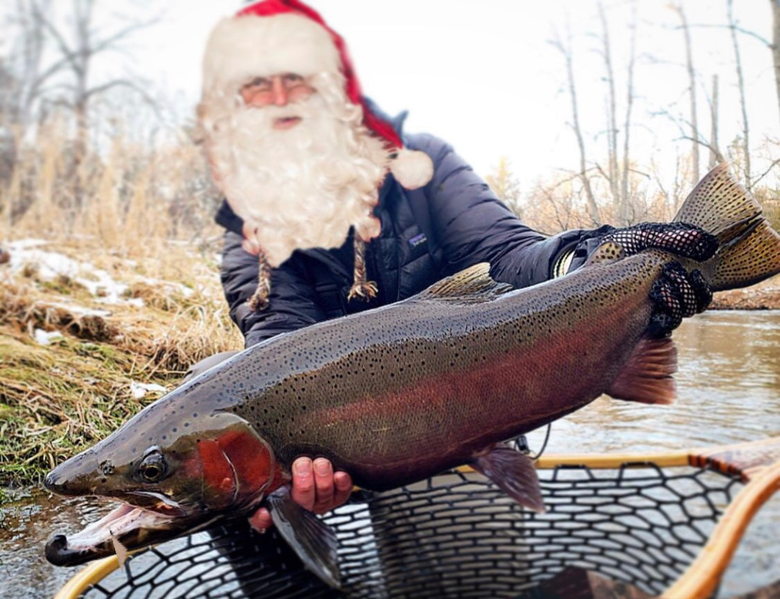 Michigan Fly Fishing Report | December 18th 2018 | Nomad Anglers