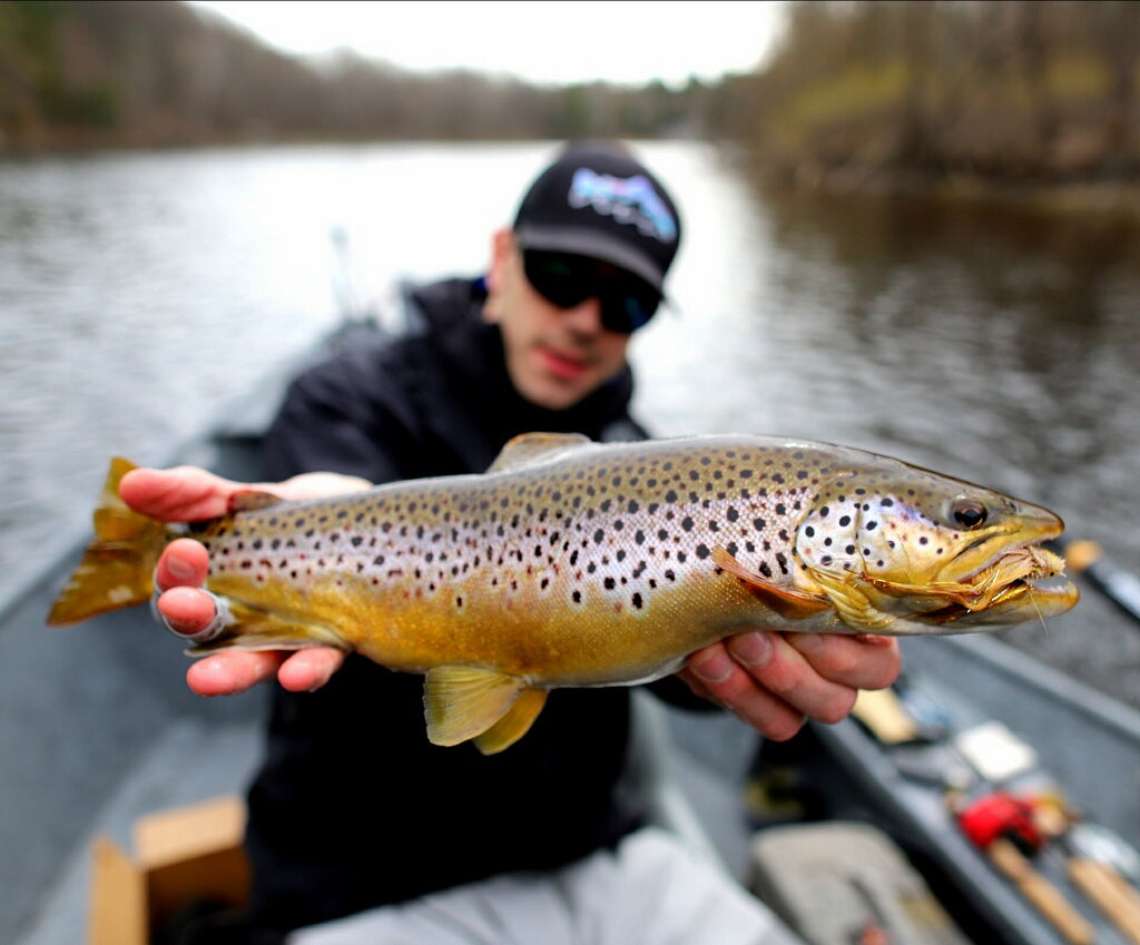 Michigan Fly Fishing Report | May 2nd, 2019 | Nomad Anglers