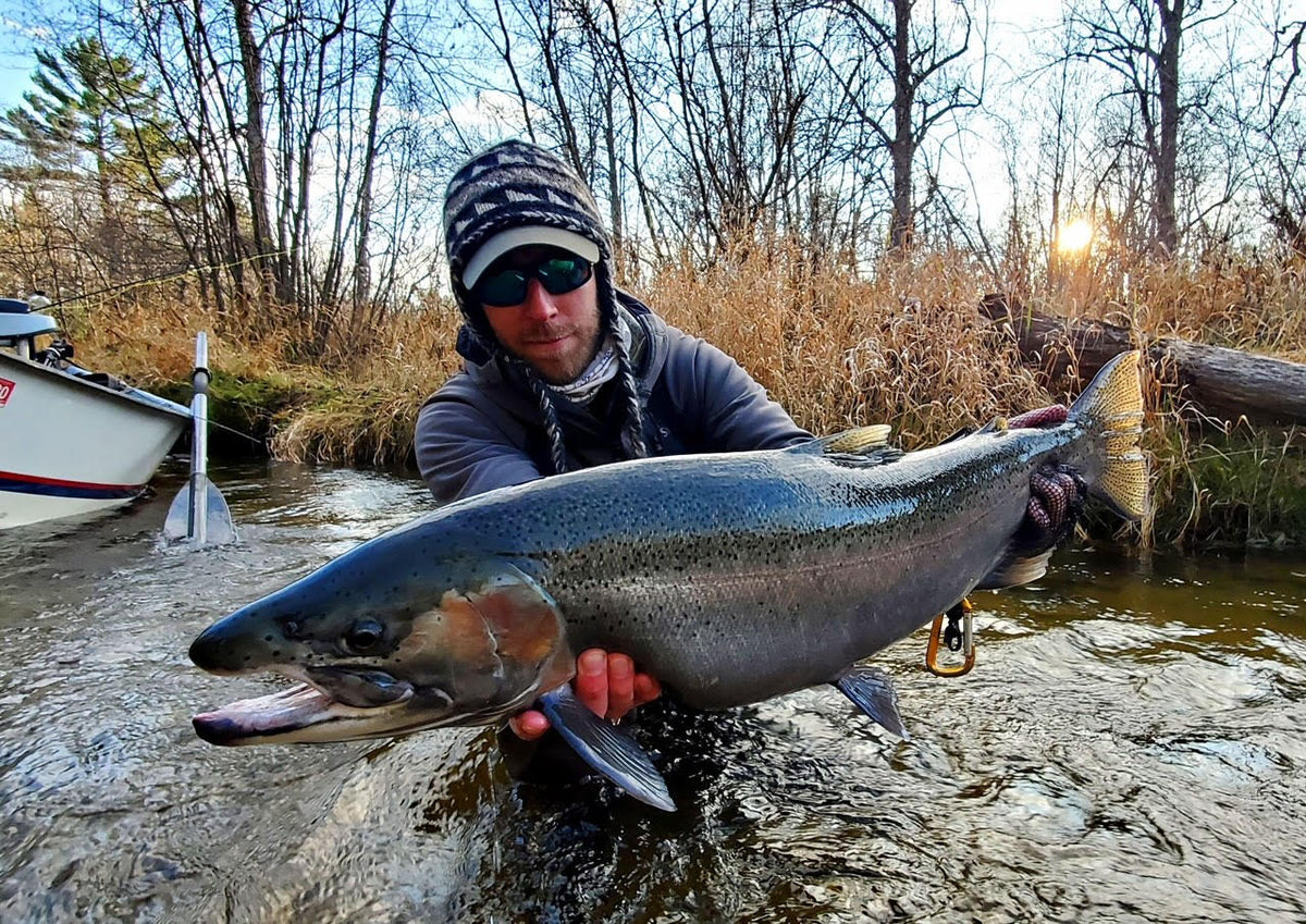 Steelhead Season | Michigan Fly Fishing Report | Nomad Anglers