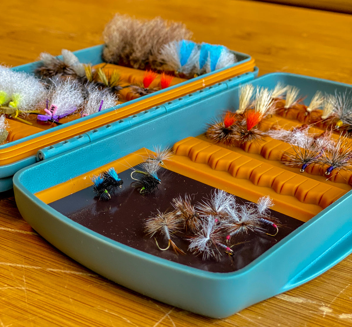 Dry Fly 24 Pack – Nomad Anglers