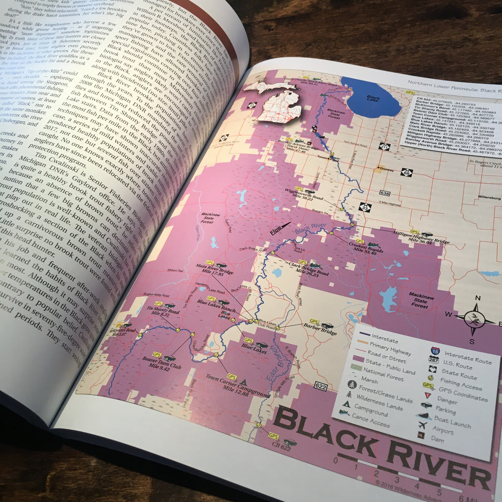 Flyfisher's Guide to Michigan Jon Osborn – Nomad Anglers